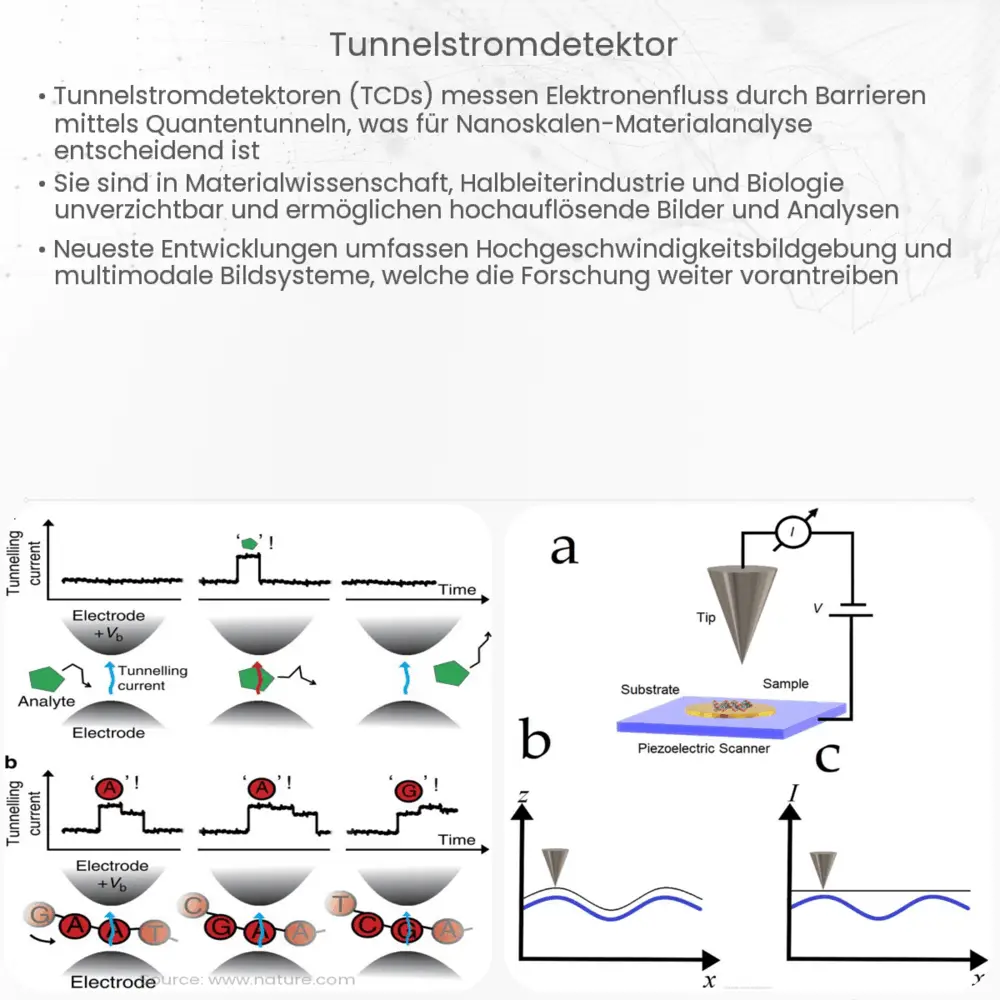 Atomkraftmikroskop (AFM) | Wie es funktioniert, Anwendung & Vorteile