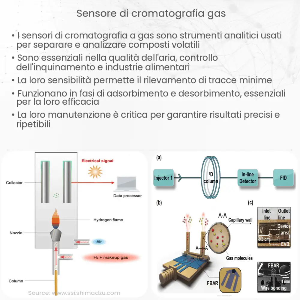 Sensore di cromatografia gas| Come funziona, Applicazione e Vantaggi
