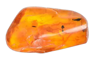 ¿Qué significa «eléctrico»? – Electricity – Magnetism