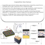 Electrochemical gas sensor | How it works, Application & Advantages