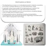 Electrophorus | How it works, Application & Advantages