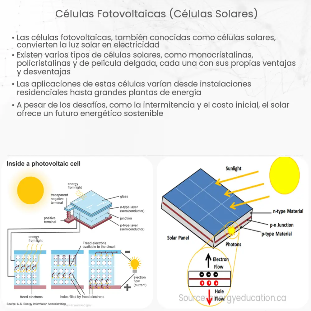 Células fotovoltaicas (Células solares) | How it works, Application ...