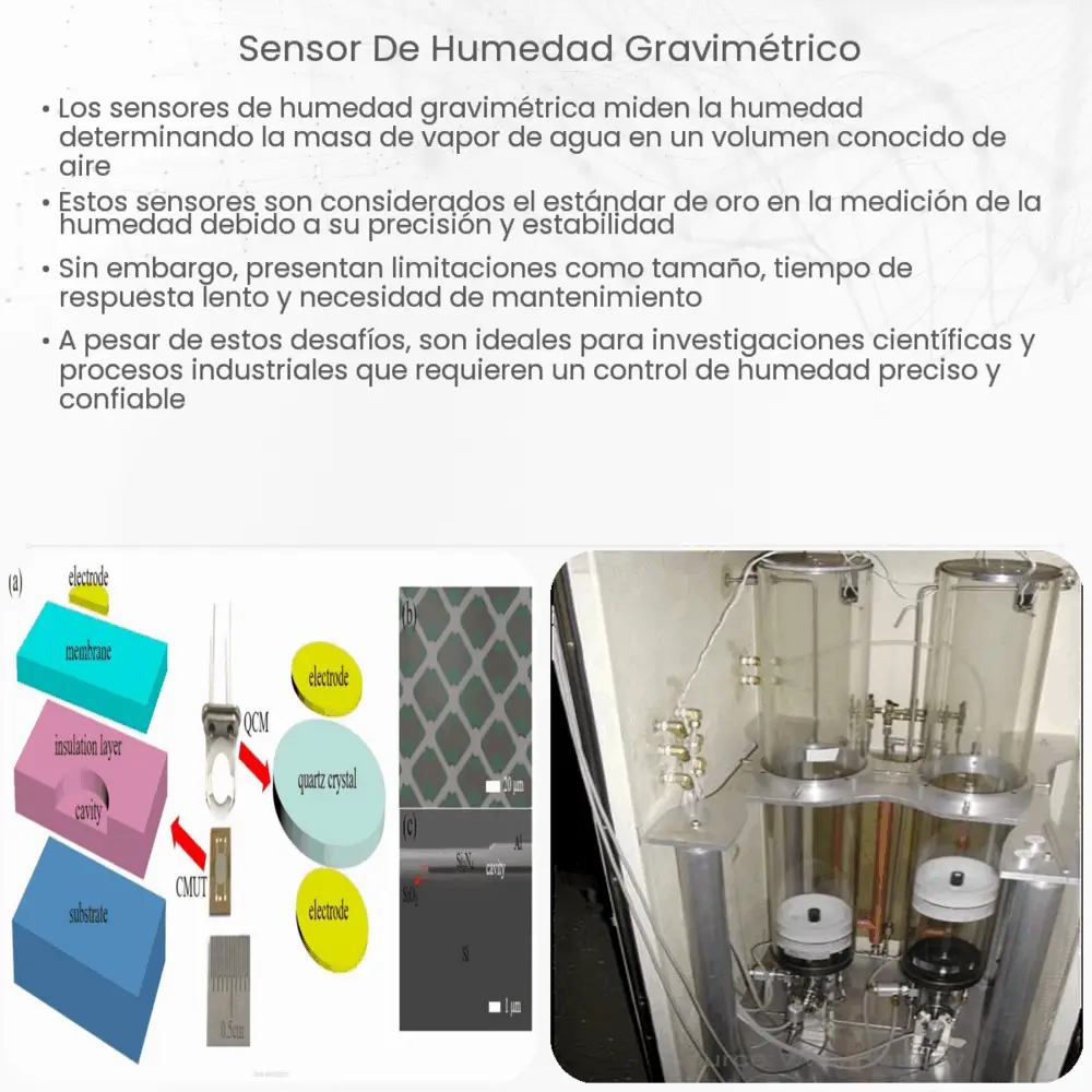 Sensor de humedad gravimétrico – Electricity – Magnetism Sensor de humedad gravimétrico – Electricity – Magnetism